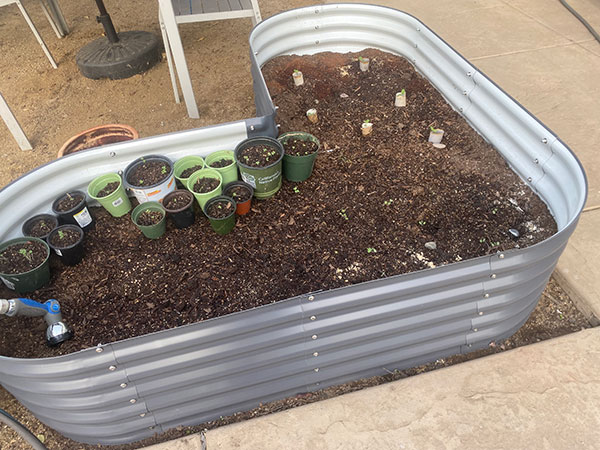 Gopher Wire Roll - 5' x 100' - Galvanized Steel - Gopher Block