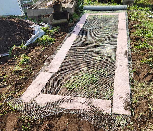 Gopher Wire Roll - 5' x 100' - Galvanized Steel - Gopher Block