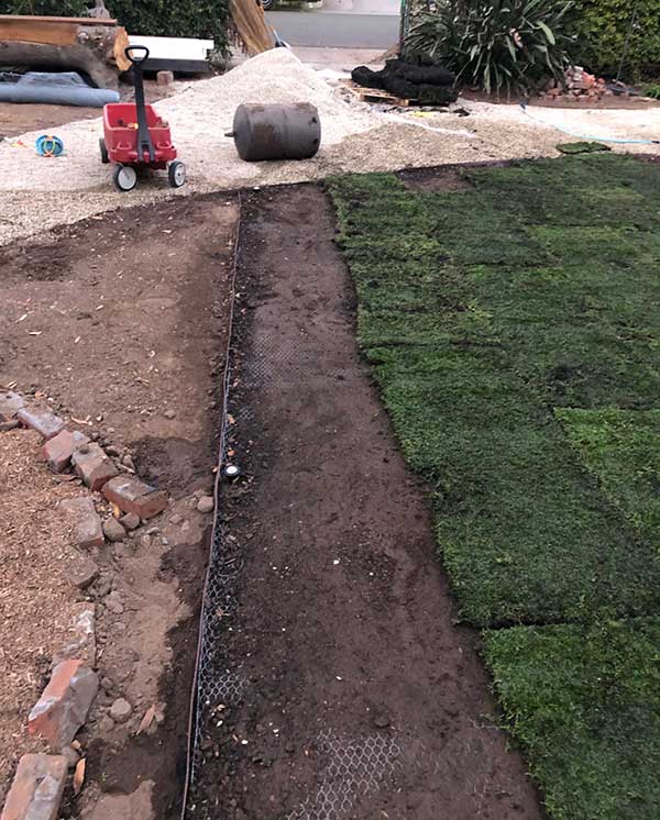 Gopher Wire Roll - 5' x 100' - Galvanized Steel - Gopher Block