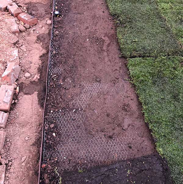 Gopher Wire Roll - 5' x 100' - Galvanized Steel - Gopher Block